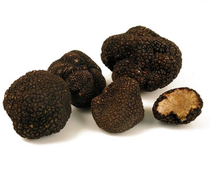 Vindem trufe negre Ilfov Baneasa • OLX.ro