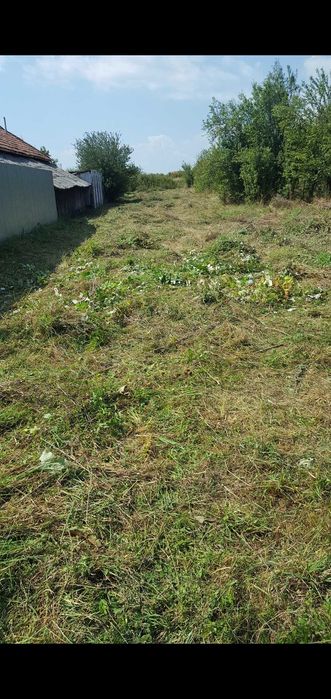 Teren de vânzare Preajba Mare Targu Jiu • OLX.ro