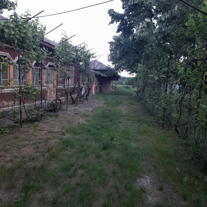 Proprietar oferă la vânzare Crevedia Mica • OLX.ro