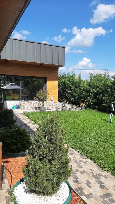 Casa pe parter cu curte 1000 mp Malu Mare • OLX.ro