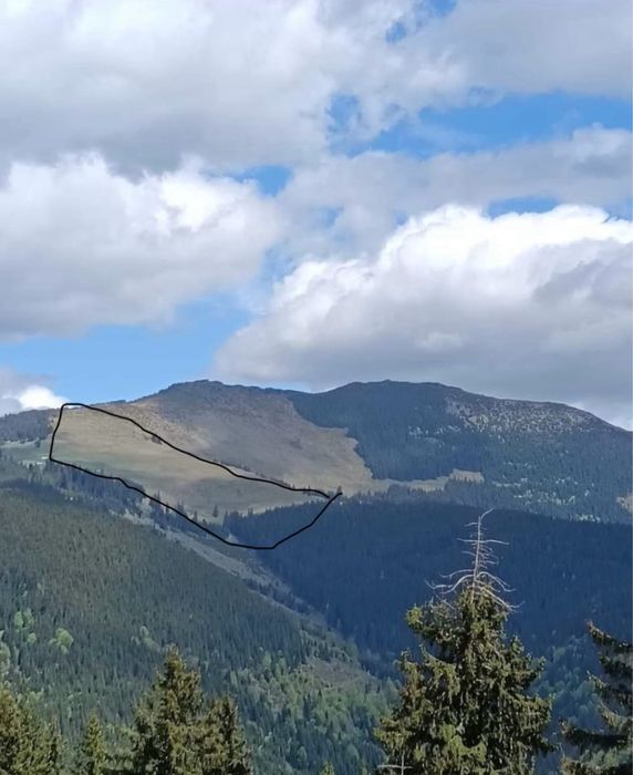 Vand teren la munte Cosna • OLX.ro