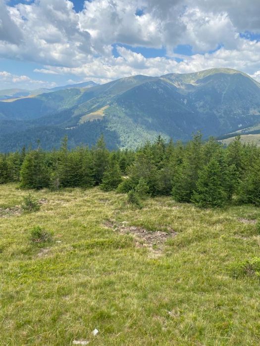 Teren Ranca Novaci Novaci • OLX.ro