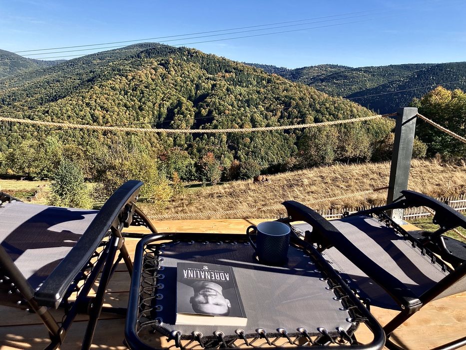 A-typic Nature-cabana cu ciubăr de inchiriat in Rachitele, Cluj ...