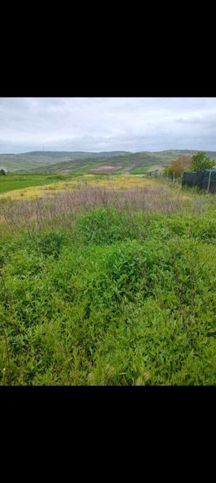 Vând teren 900mp Moara grecilor Vaslui • OLX.ro