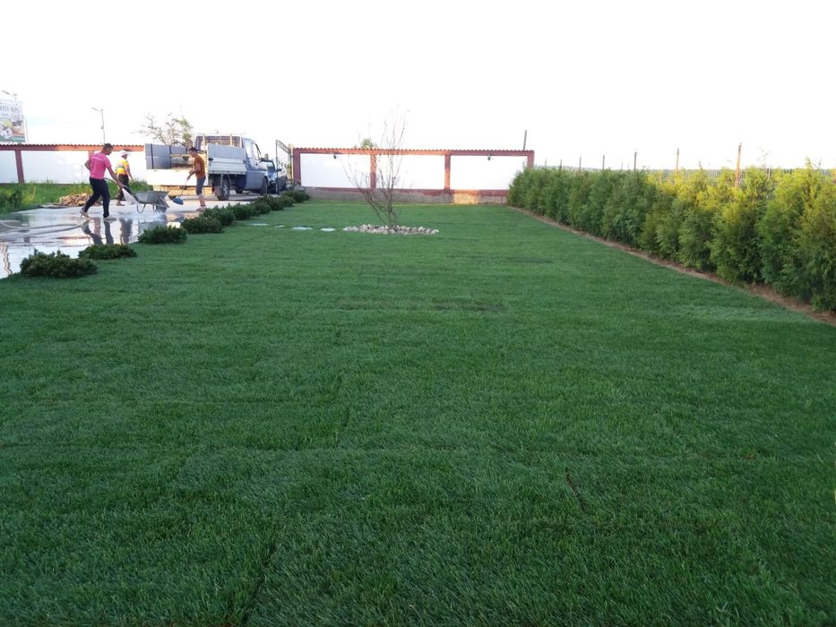 Totul pentru gradina ta gazon sisteme de irigat profesionale Cluj ...