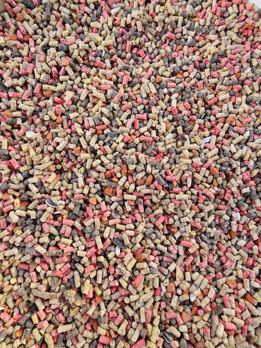 Minerale si amestec porumbei Gheboaia • OLX.ro