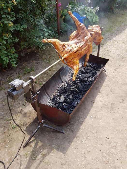 Protap rotisor cu motor Cluj-Napoca • OLX.ro