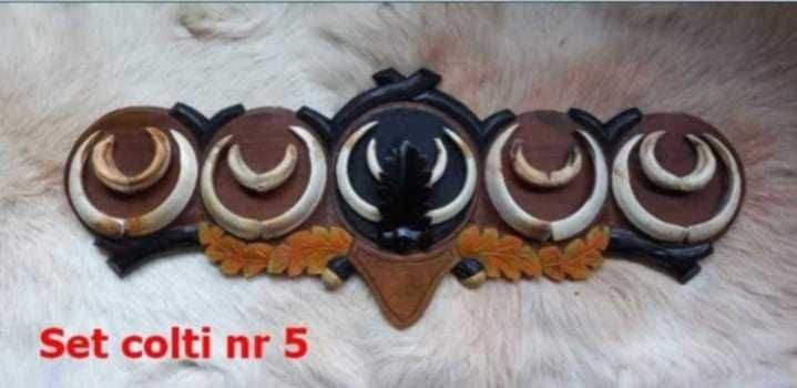Trofeu/trofee/colti de mistret seturi Biharia • OLX.ro