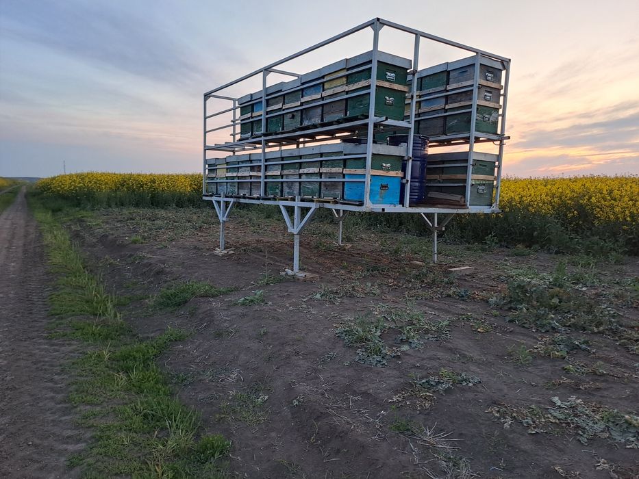 Modul apicol de vanzare Aranghel • OLX.ro