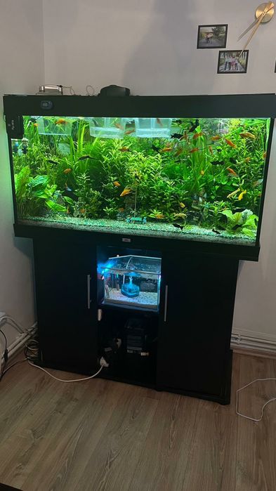 Acvariu profesionist JUWEL 360 L + stand original original Codlea • OLX.ro