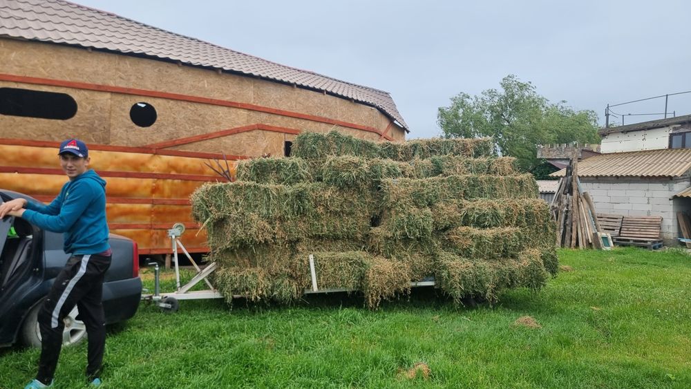 Vand baloti lucerna Zebil • OLX.ro