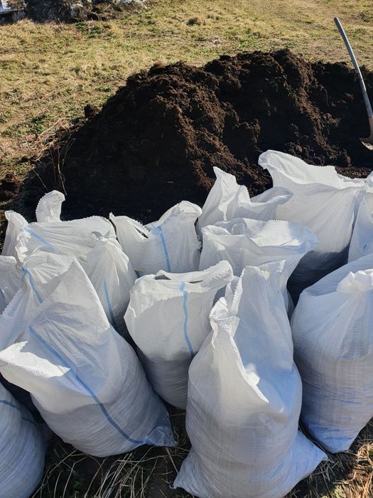 Mranita de oaie la sac sau bascula Bacau • OLX.ro