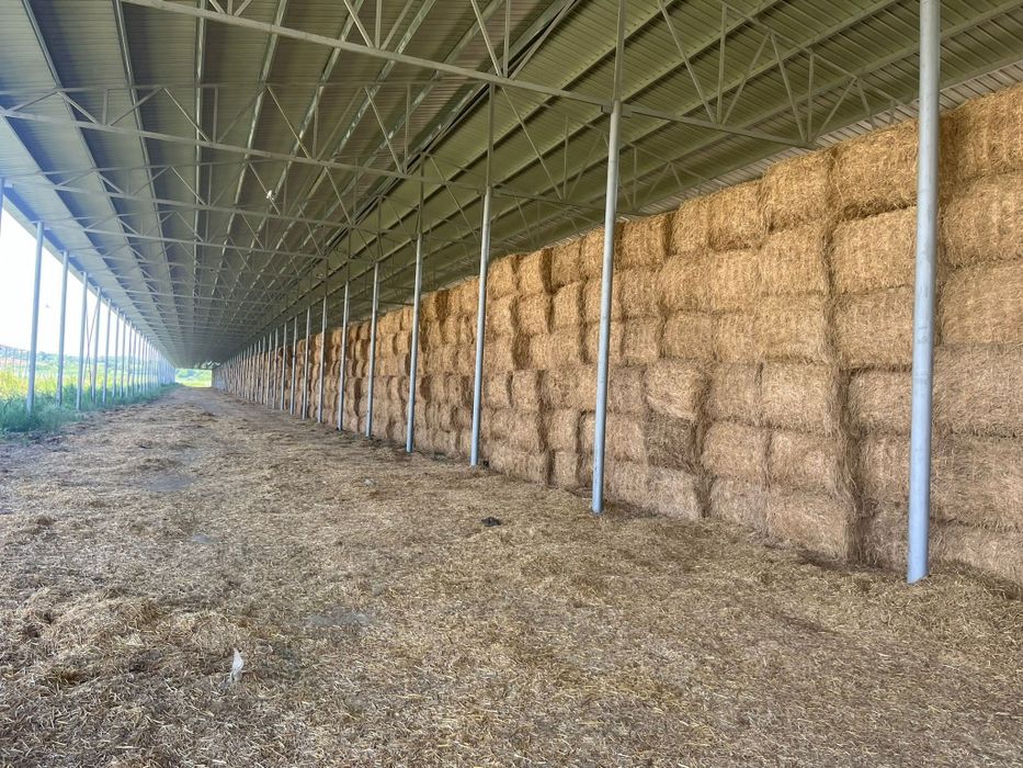 Baloti de lucernă în stare buna aerisiti Targu Jiu • OLX.ro