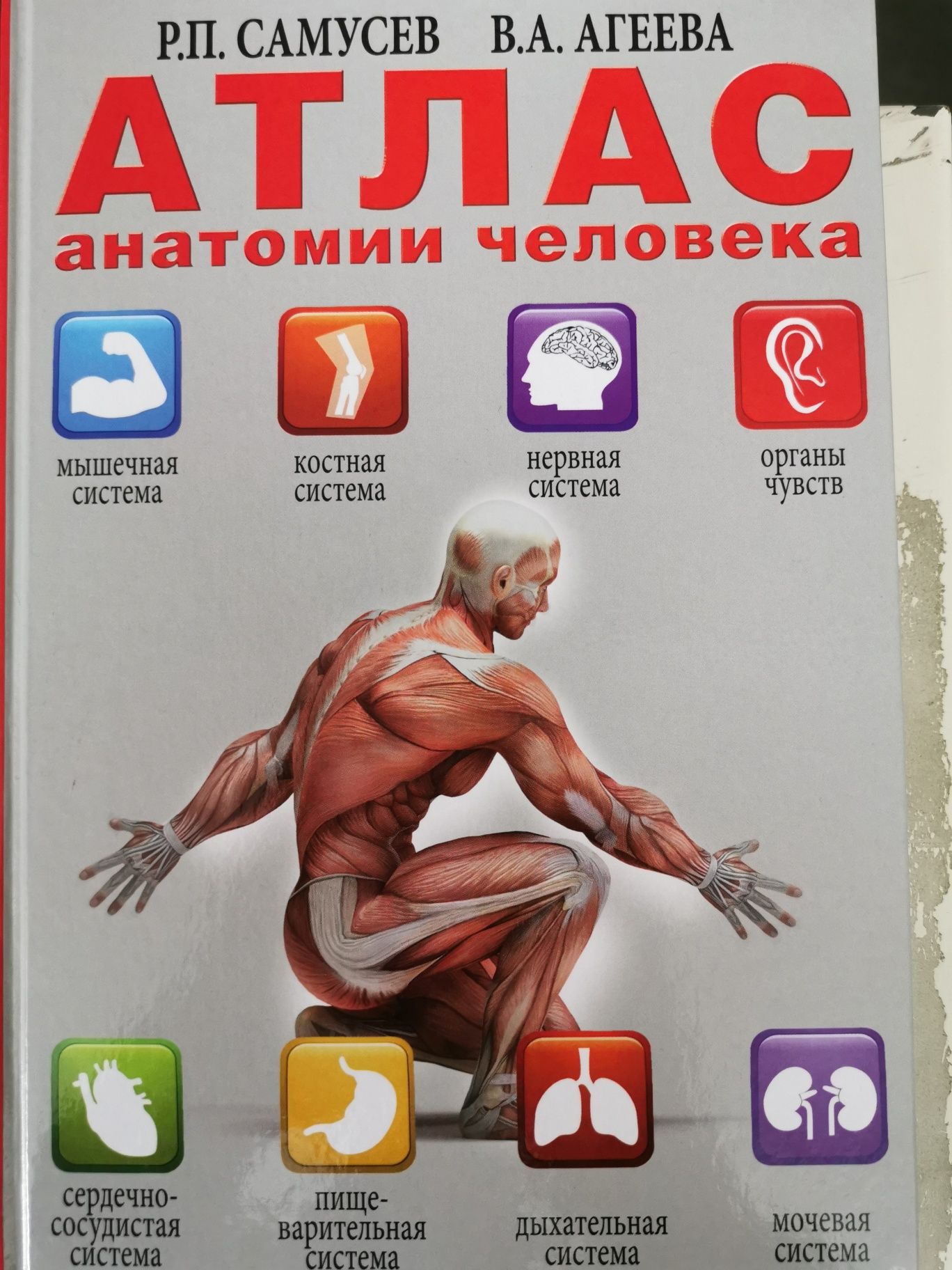 Атлас Анатомия человека - Товары для школьников Астана на Olx