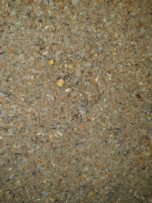 Vindem srot floarea soarelui, orz peleti granule, calciu furajer. Buzau • OLX.ro