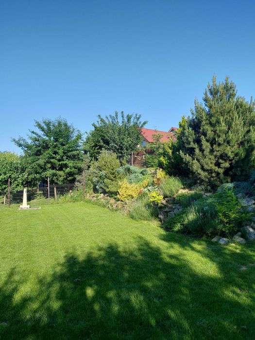 Casa individuala cu teren 750mp, garaj, beci, terasa - Dezmir Dezmir ...