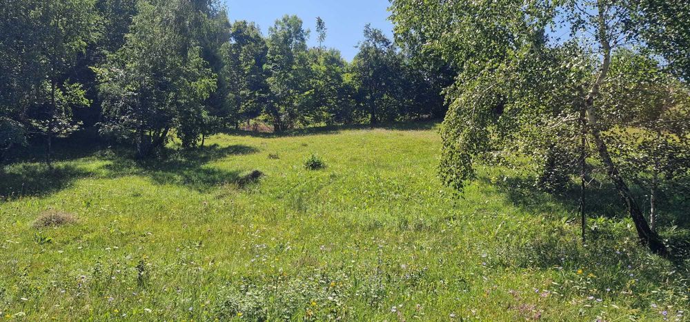 Teren Breaza-Talea Ploiesti • OLX.ro