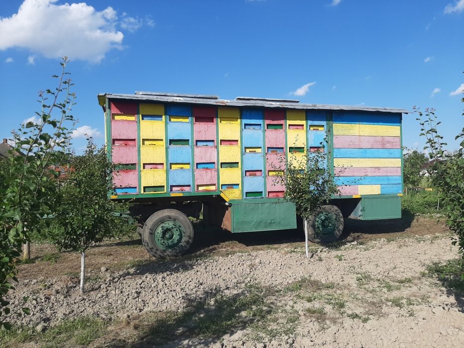 Pavilion apicol! Satu Mare • OLX.ro