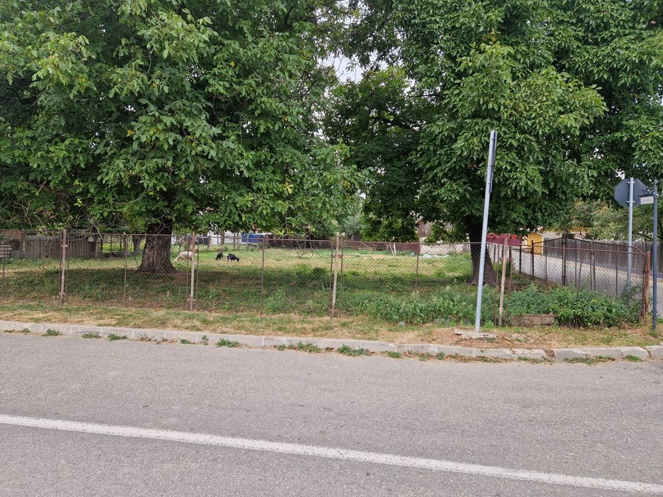 Vând casa plus teren Rasnov Brasov • OLX.ro