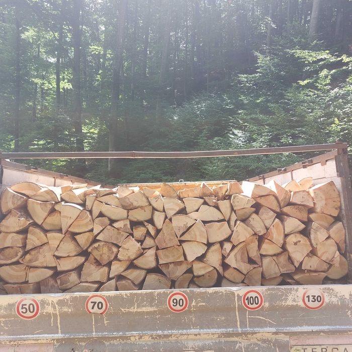 Lemne de foc pentru iarna 2024-2025 Caracal • OLX.ro