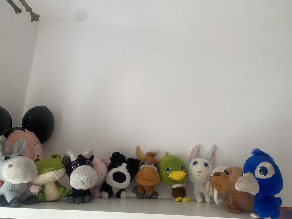 Plusuri colectie PETROM Brasov • OLX.ro