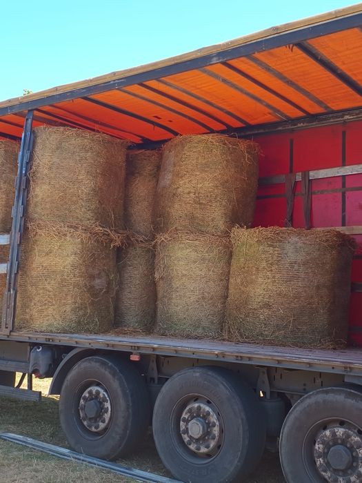 Baloti lucerna rotunzi min.40.drept500.sau fan.La TIR"RO UE Marasesti ...