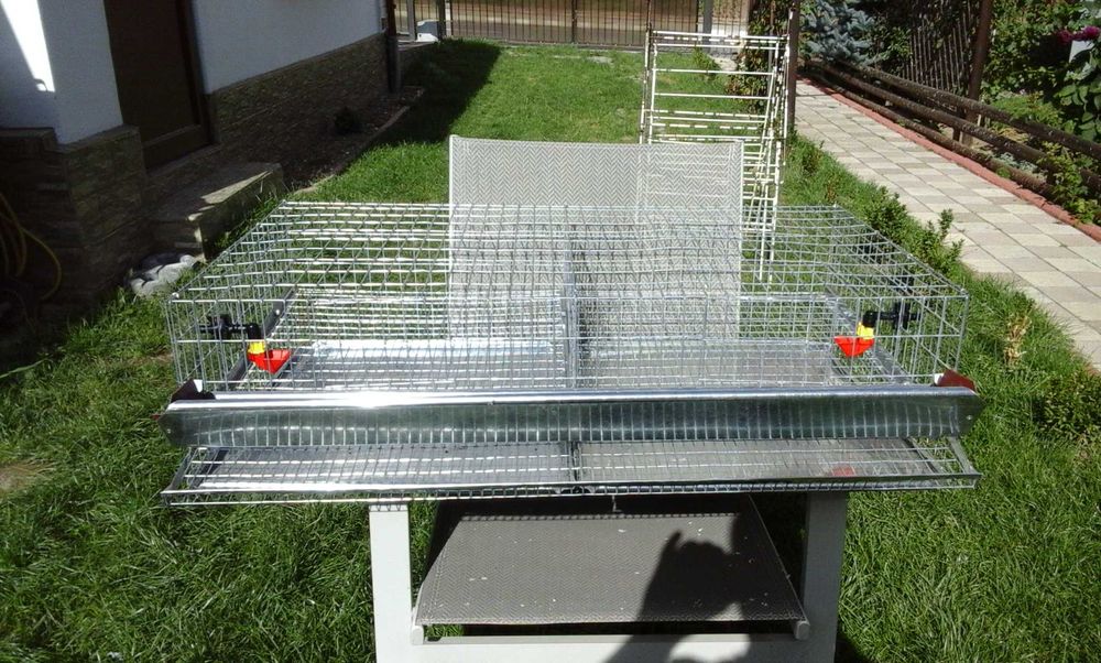 Cusca pentru 25 si 50 prepelite Brasov • OLX.ro