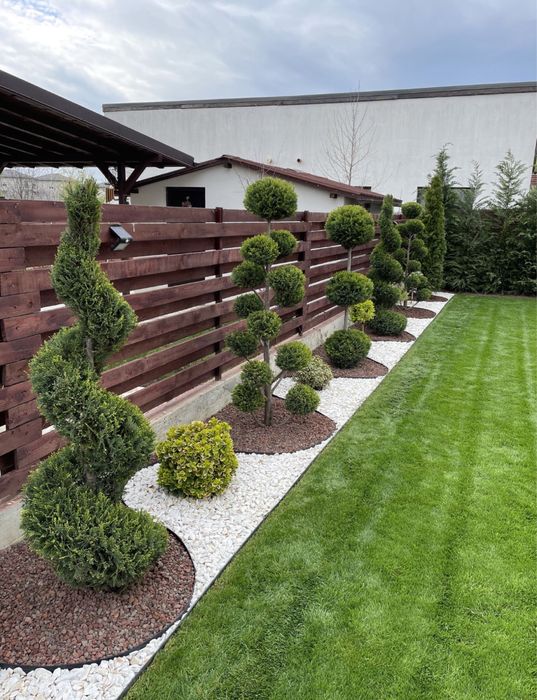 Gazon rulou amenajare gradini piatra alba Sibiu • OLX.ro