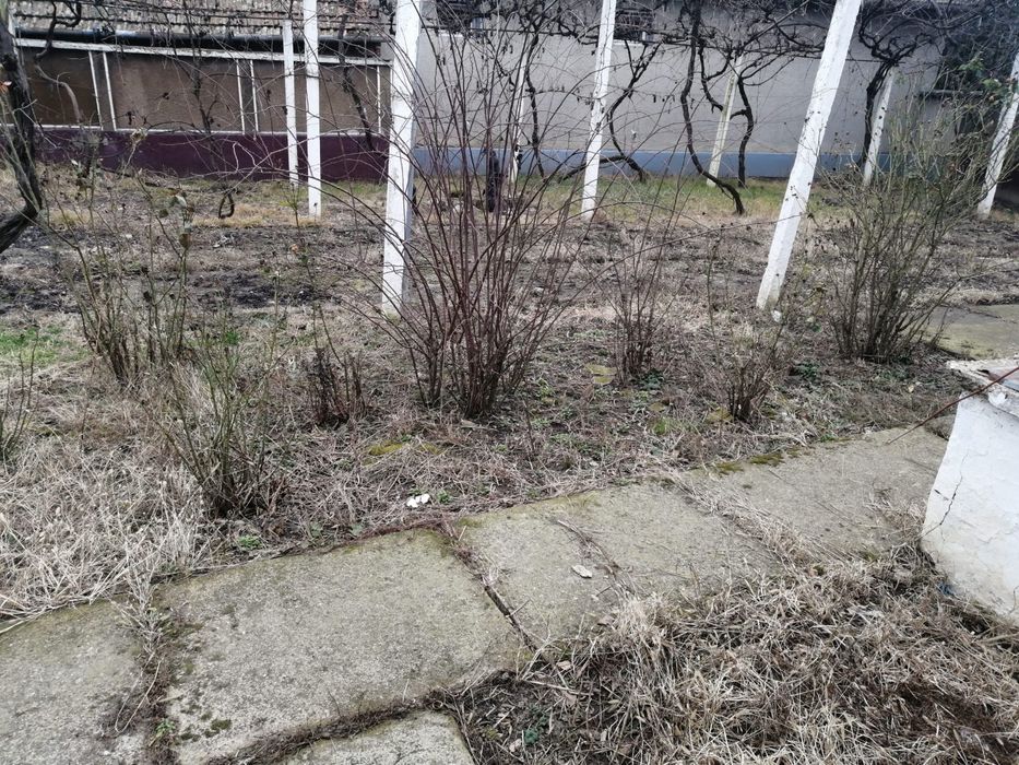 Vand casa in Gurbediu Gurbediu • OLX.ro
