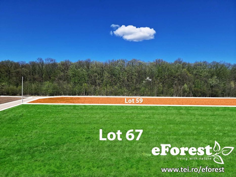 EForest 2, loturi de teren langa padure Crevedia • OLX.ro