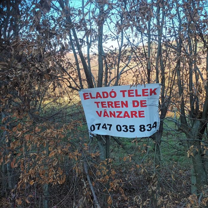 De vanzare teren la Lacul Bezid. Sovata • OLX.ro