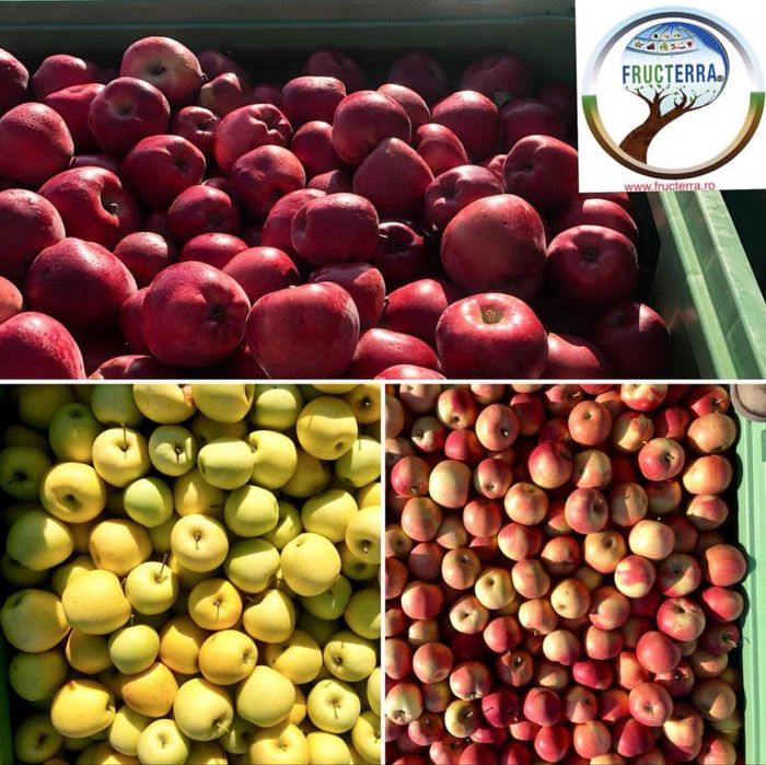 Vindem mere en-gross din productia proprie! Barlad • OLX.ro