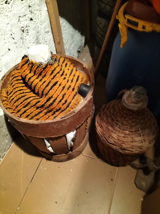 Storcator de struguri si damigene Brasov • OLX.ro