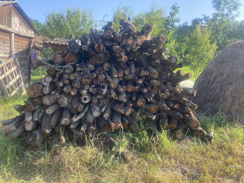 Lemn uscat de foc Sarmasu • OLX.ro
