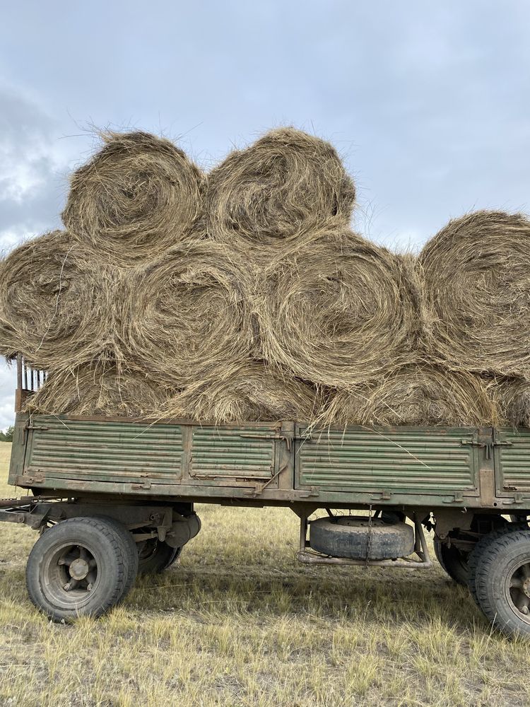 Продам сено разнотравье: 6 000 тг. - Корма для сельхоз животных Семей ...