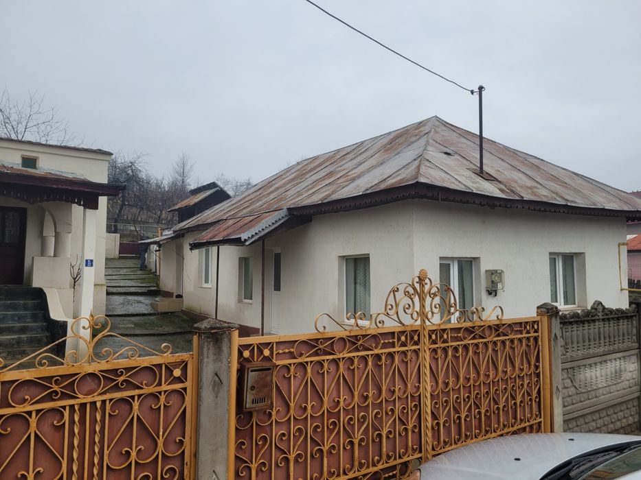 2 case in curte Timisoara • OLX.ro