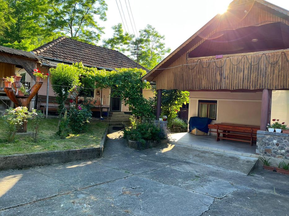 Vând case cu anexe si teren in satul Lorau, com. Bratca Lorau • OLX.ro