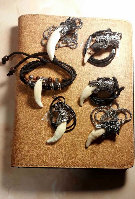 Medalion hand-made din COLT REAL DE LUP ( craniu, colti, trofeu )_1 ...