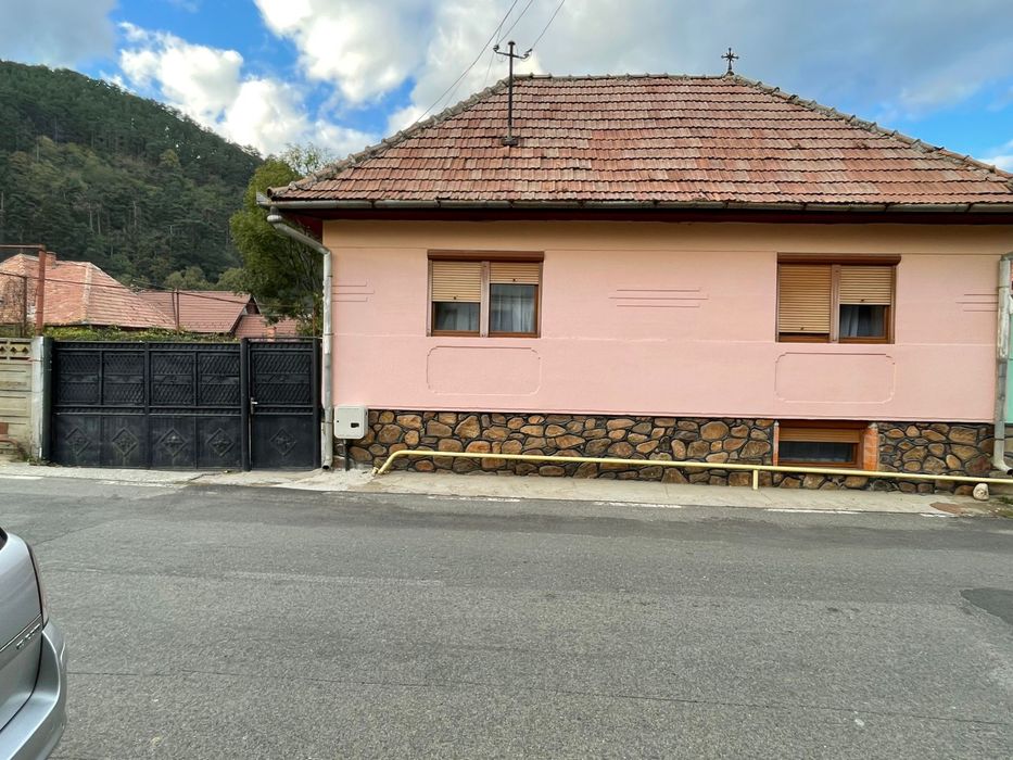 Casa individuala Rasinari Rasinari • OLX.ro