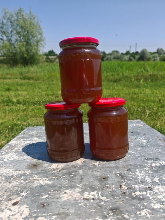 Miere poliflora ,tei , rapiță,floarea soarelui Caracal • OLX.ro