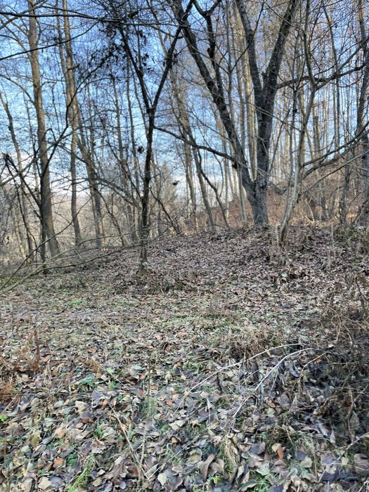 Teren extravilan 15000m, Valea Lunga-Dambovita Valea Lunga • OLX.ro