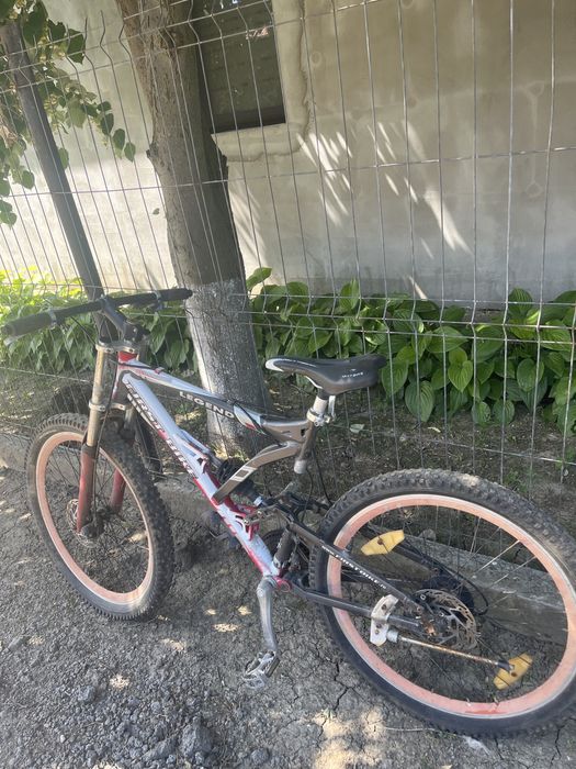 Vand bicicleta FIRST BIKE Calarasi • OLX.ro