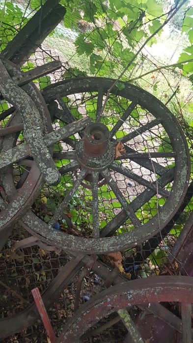 Roți de căruță vechi Maglavit • OLX.ro
