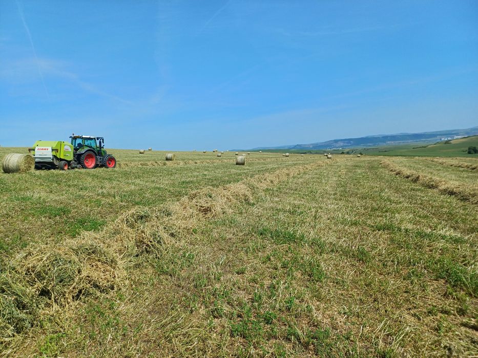 Vînd baloti de lucerna cu certificat ecologic Salcud • OLX.ro