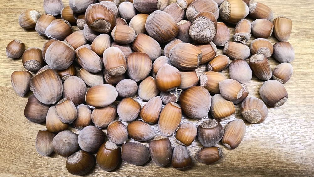 Alune de pădure în coaja Urziceni • OLX.ro