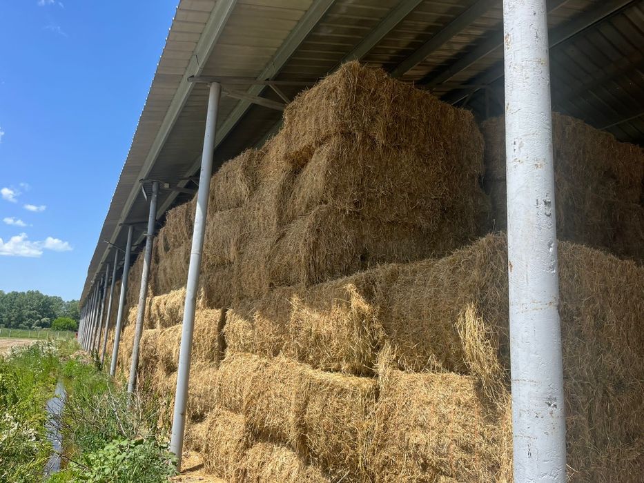 Baloti de lucernă în stare buna aerisiti Targu Jiu • OLX.ro