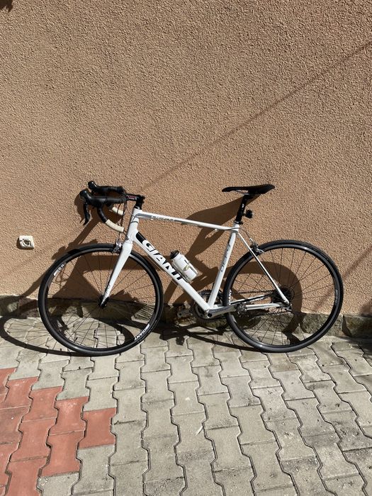 Cursiera Giant Defy Sebes • OLX.ro