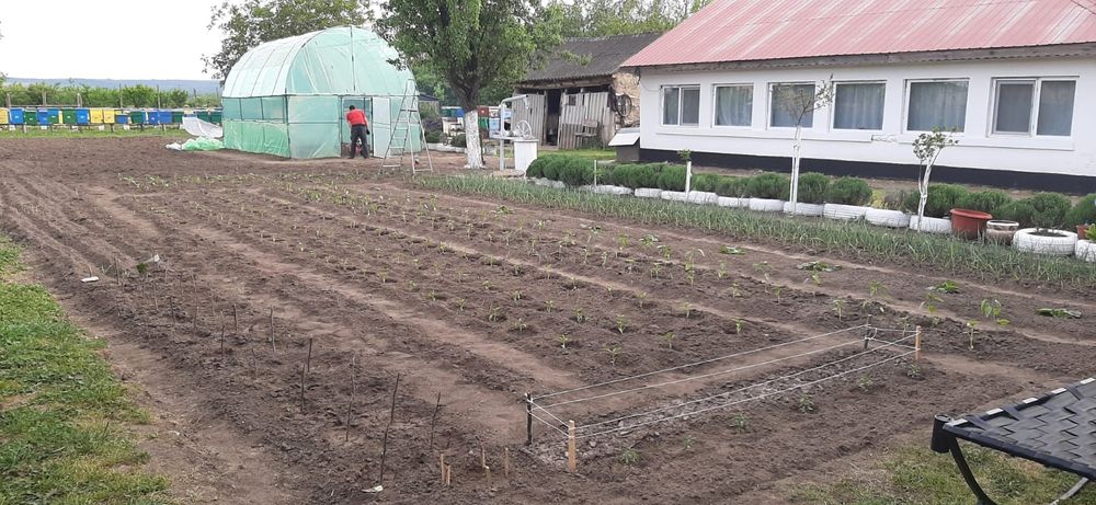 Casa cu teren în Zimnicea Zimnicea • OLX.ro