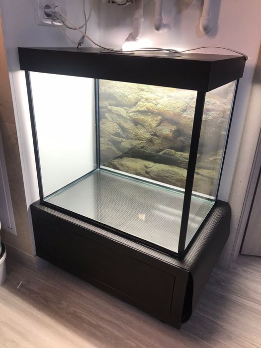 Acvarii pe comandă Cismea • OLX.ro