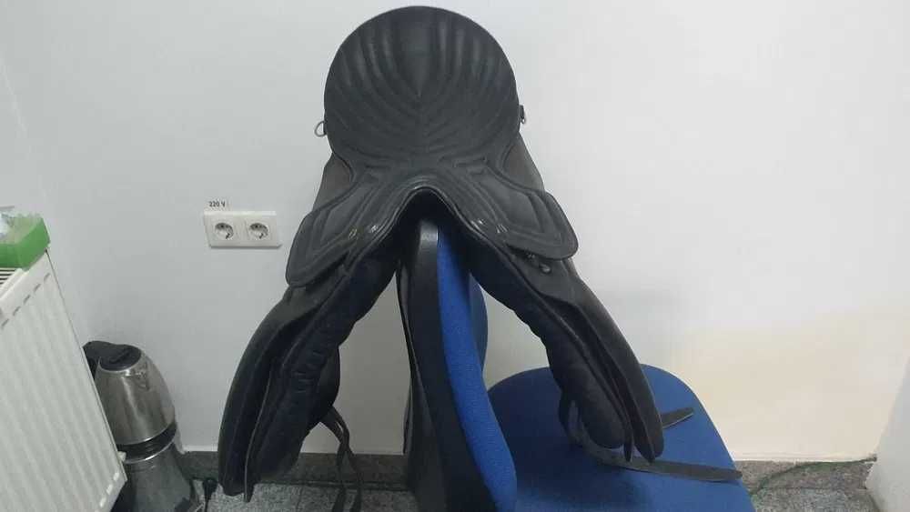 Sa echitatie, sa calarie Zaldi Targu-Mures • OLX.ro